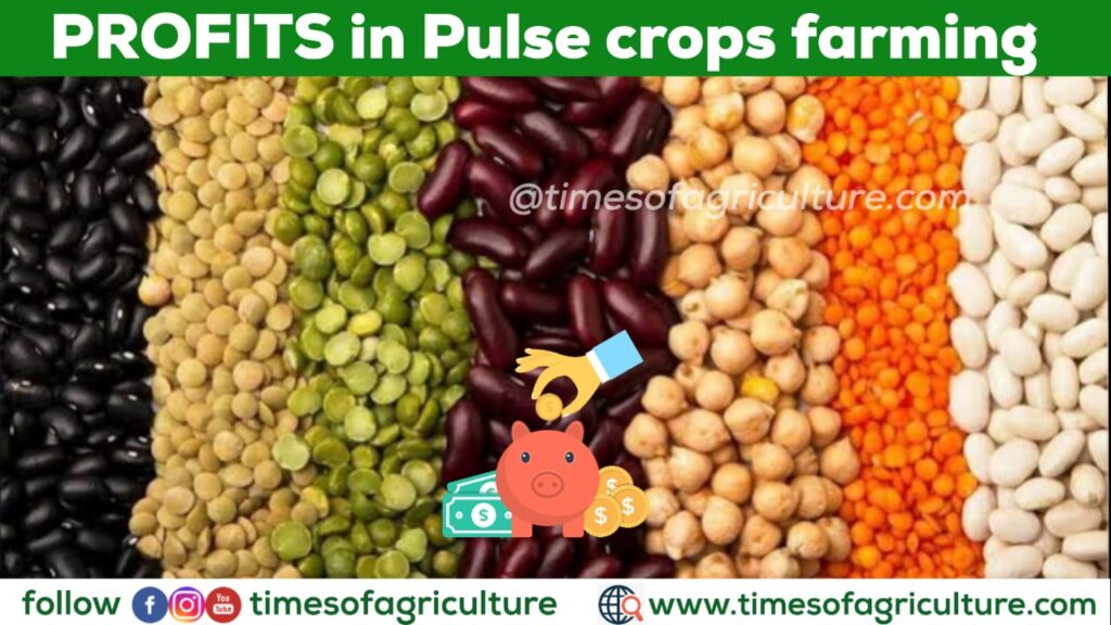 Profits in Pulse crops Farming - TIMES OF AGRICULTURE