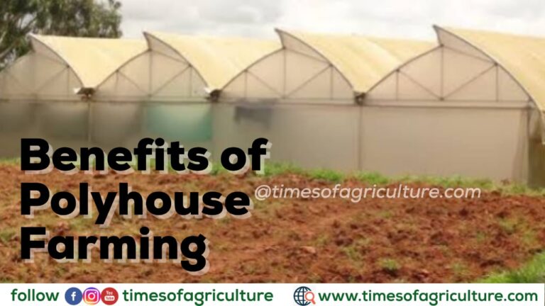 List of Benefits of Polyhouse Farming in India